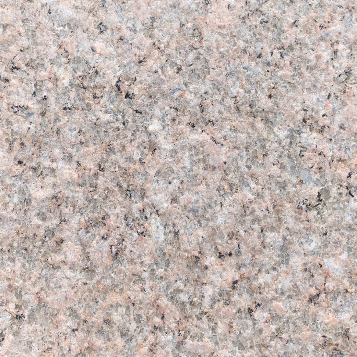 Grigio Argente | Granite Tiles in Woollahra
